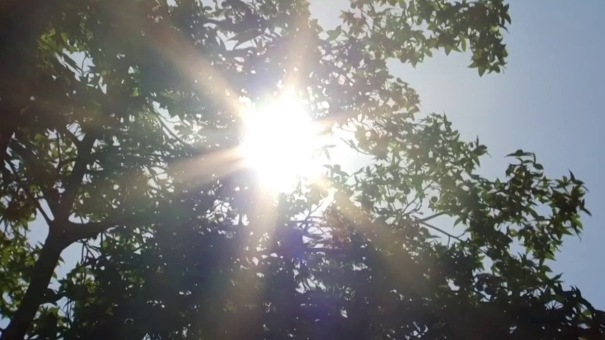 How humidity affects the human body – NBC 5 Dallas-Fort Worth