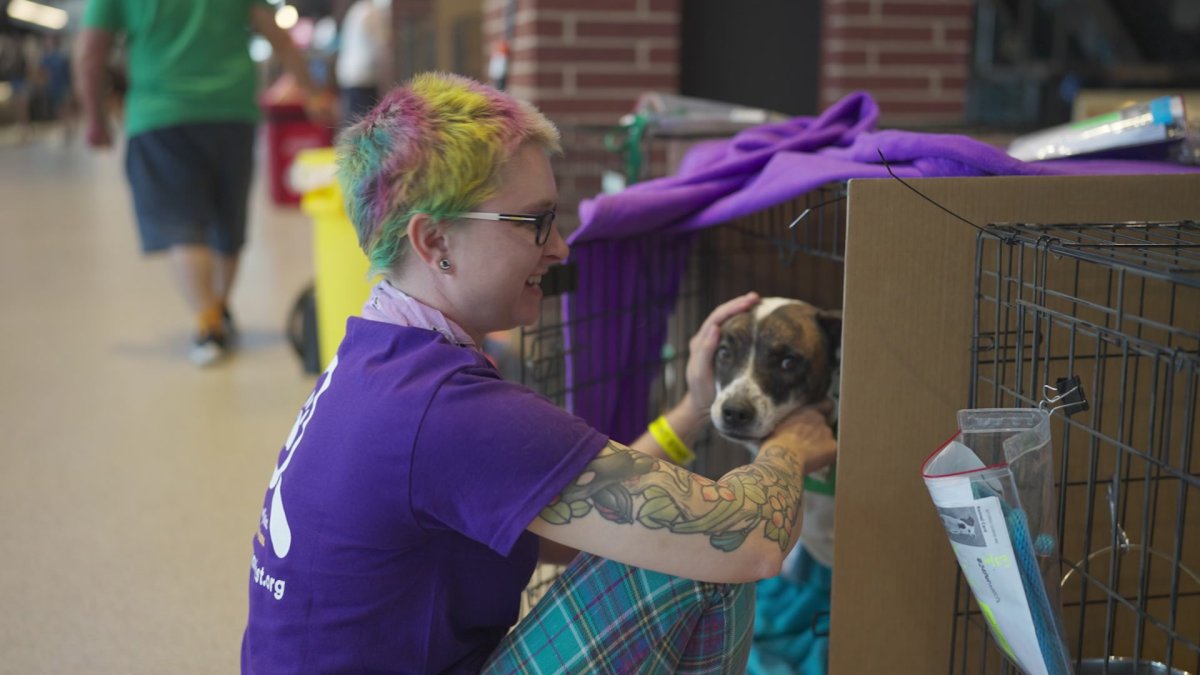 Adoption event in Arlington hopes to find forever homes for 1,500 pets ...