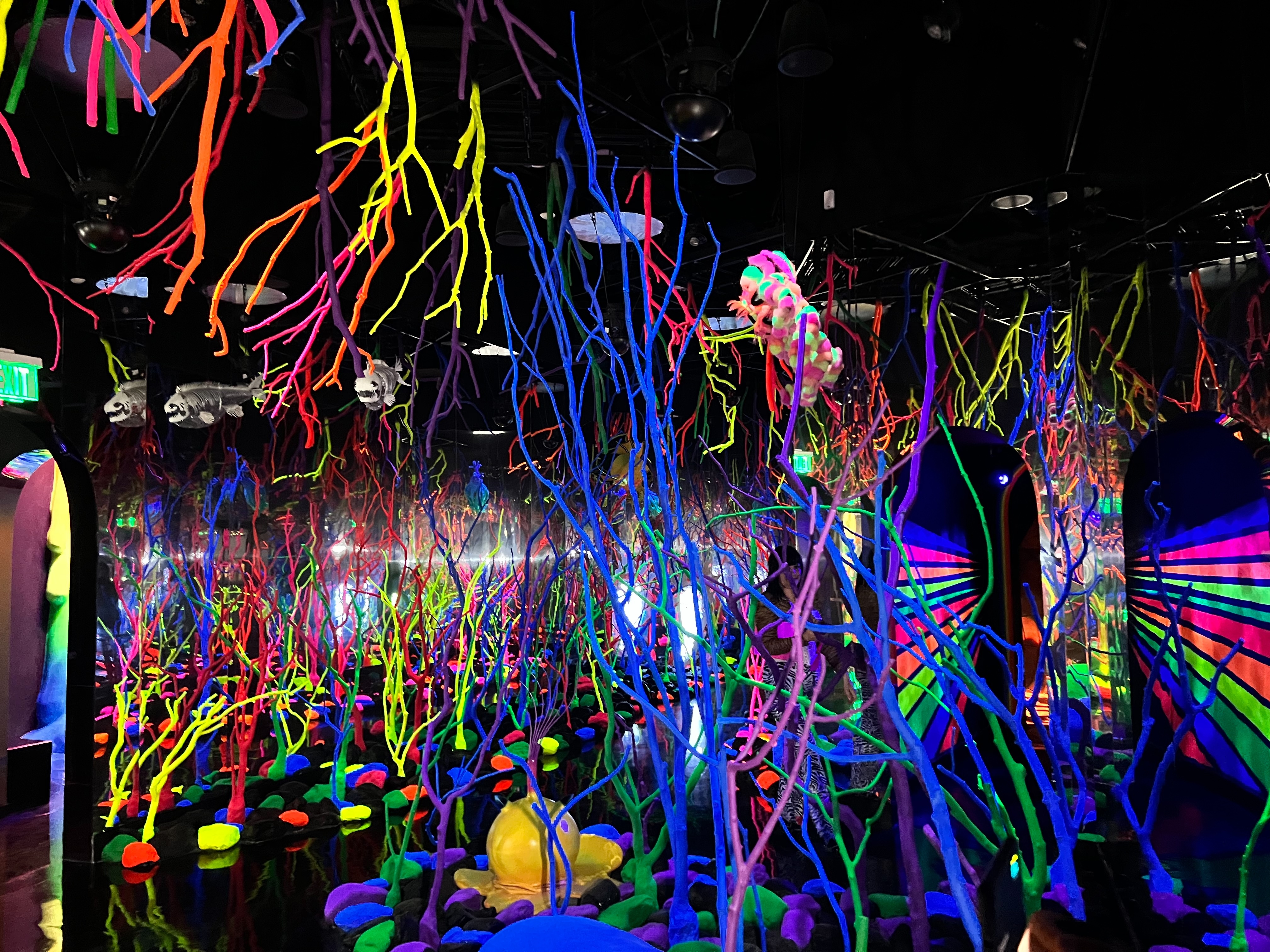 Meow Wolf Grapevine to open Friday – NBC 5 Dallas-Fort Worth