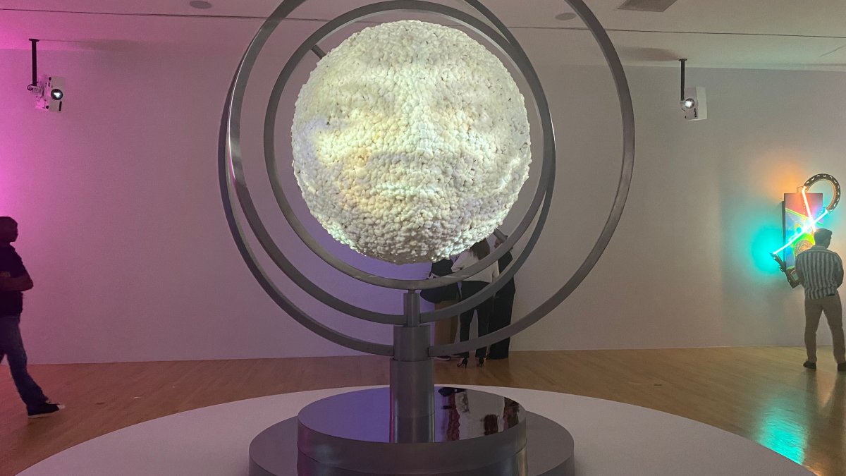 Artist comes home with exhibition at Dallas Museum of Art – NBC 5 ...