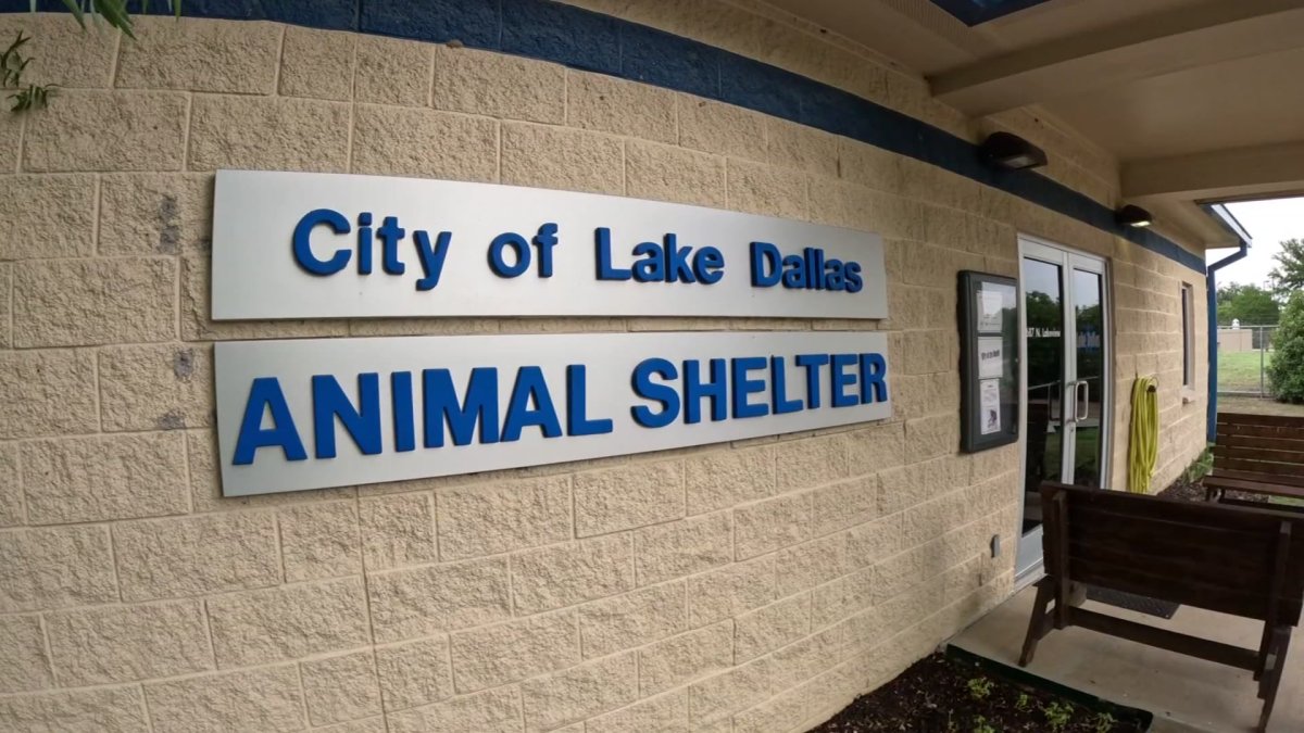 Scammers target Lake Dallas Animal Shelter’s Facebook page – NBC 5 ...
