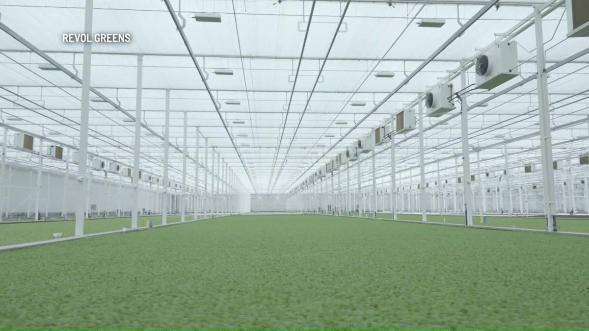 Texas is home to ‘world’s largest lettuce greenhouse’ – NBC 5 Dallas ...