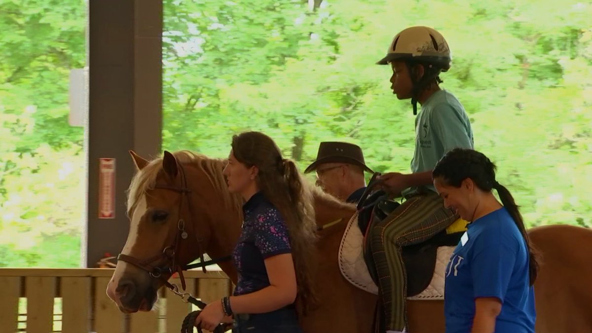 City to Saddle brings kids from Bonton neighborhood to Equest barn – NBC 5 Dallas-Fort Worth