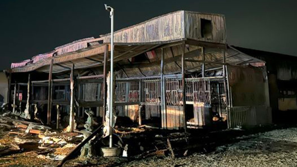 Seven racehorses killed in Texas barn fire – NBC 5 Dallas-Fort Worth