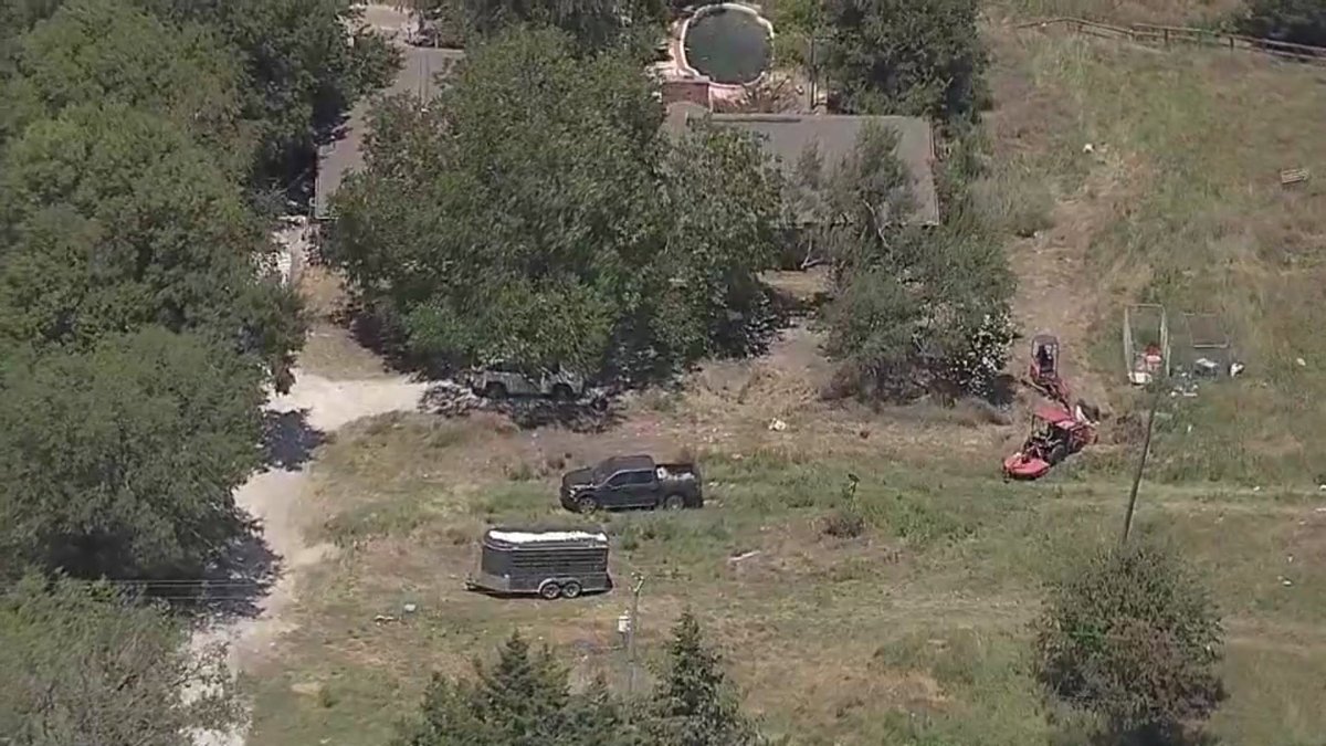 Collin County woman arrested after dozens of dead animals found on ...