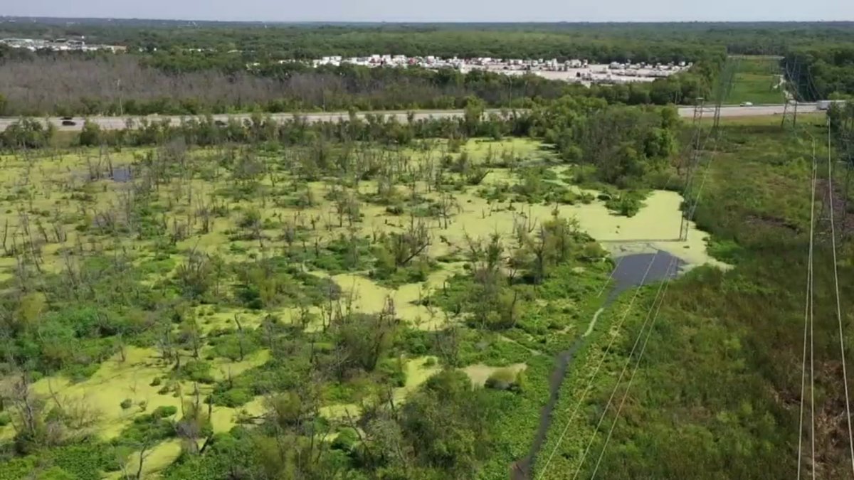 Concern over swamp from a Dallas Water Utilities leak – NBC 5 Dallas ...