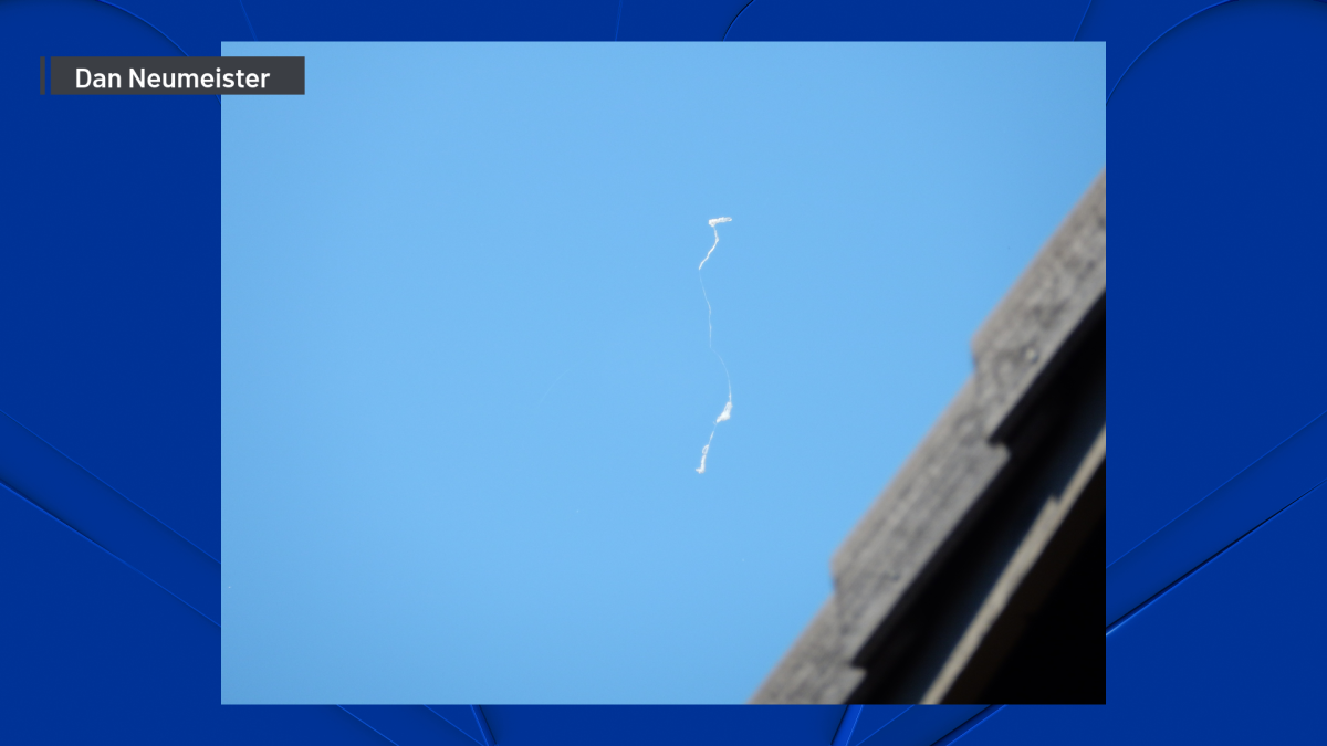 Floating, web-like substances across Bay Area are baby spiders ...