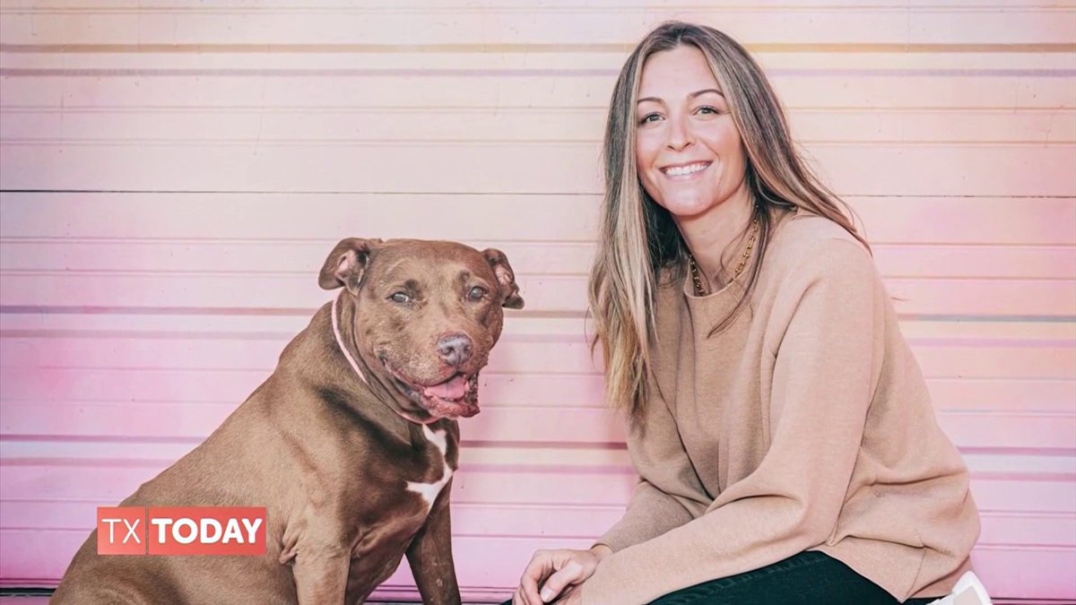 Celebrating local animal heroes: The Love Pit – NBC 5 Dallas-Fort Worth