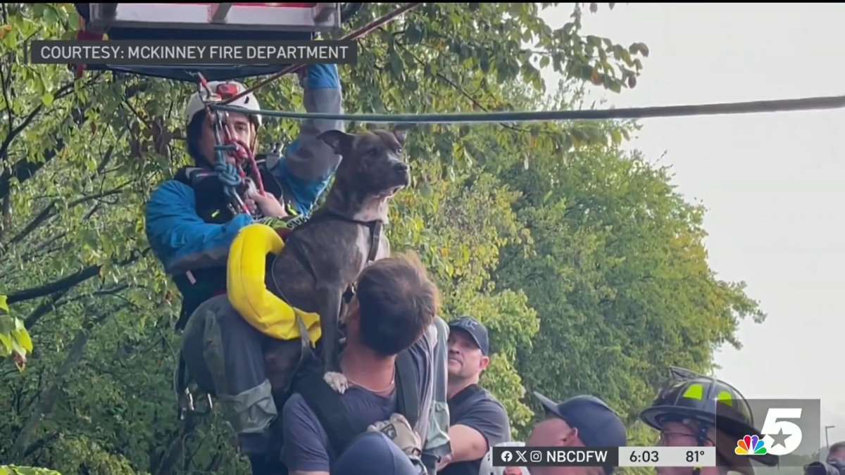 McKinney firefighters rush to rescue people trapped in high waters ...