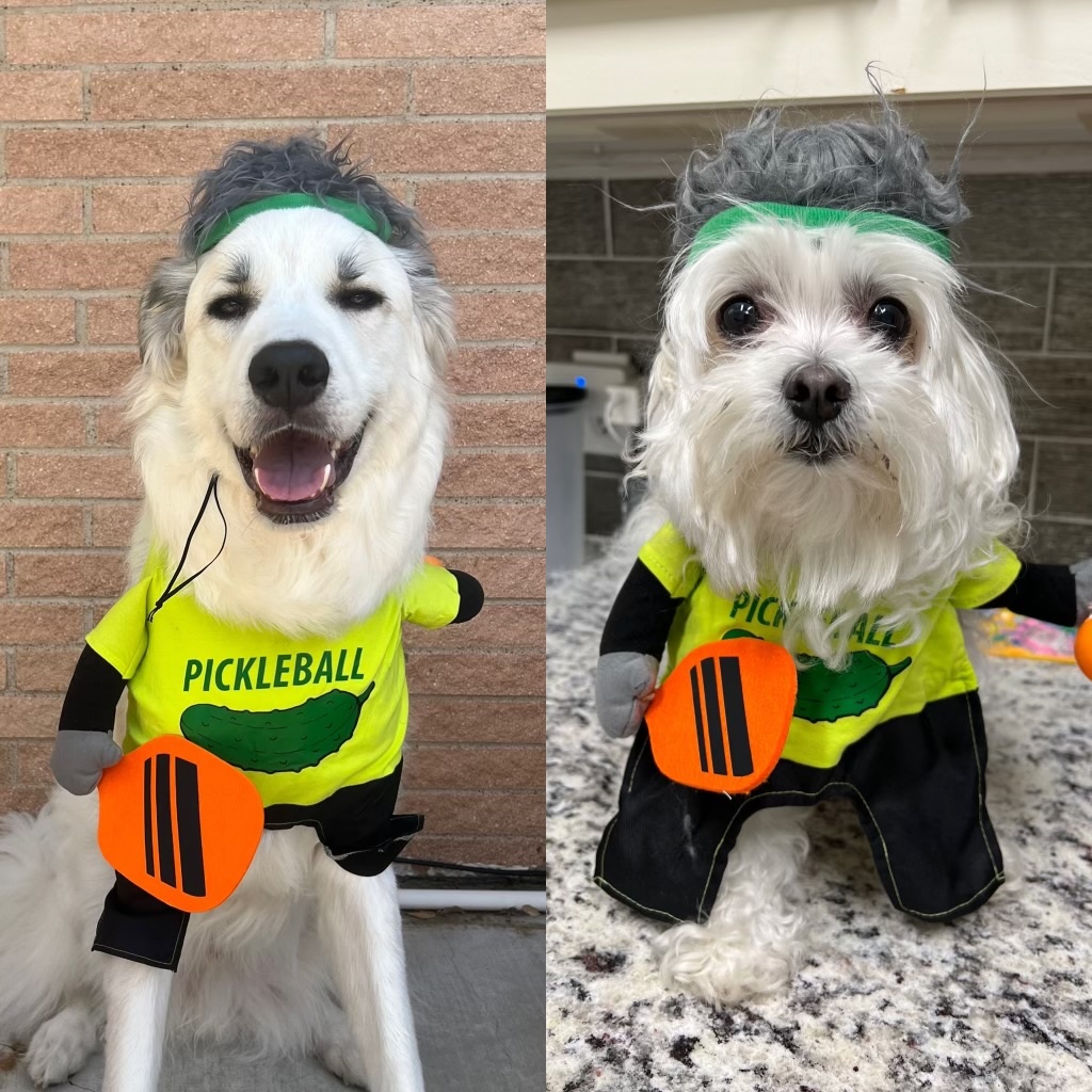 PHOTOS: Your 2023 Halloween costumes – NBC 5 Dallas-Fort Worth