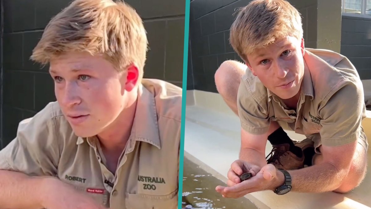 Robert Irwin emotional honoring Steve Irwin with zoo milestone – NBC 5 ...