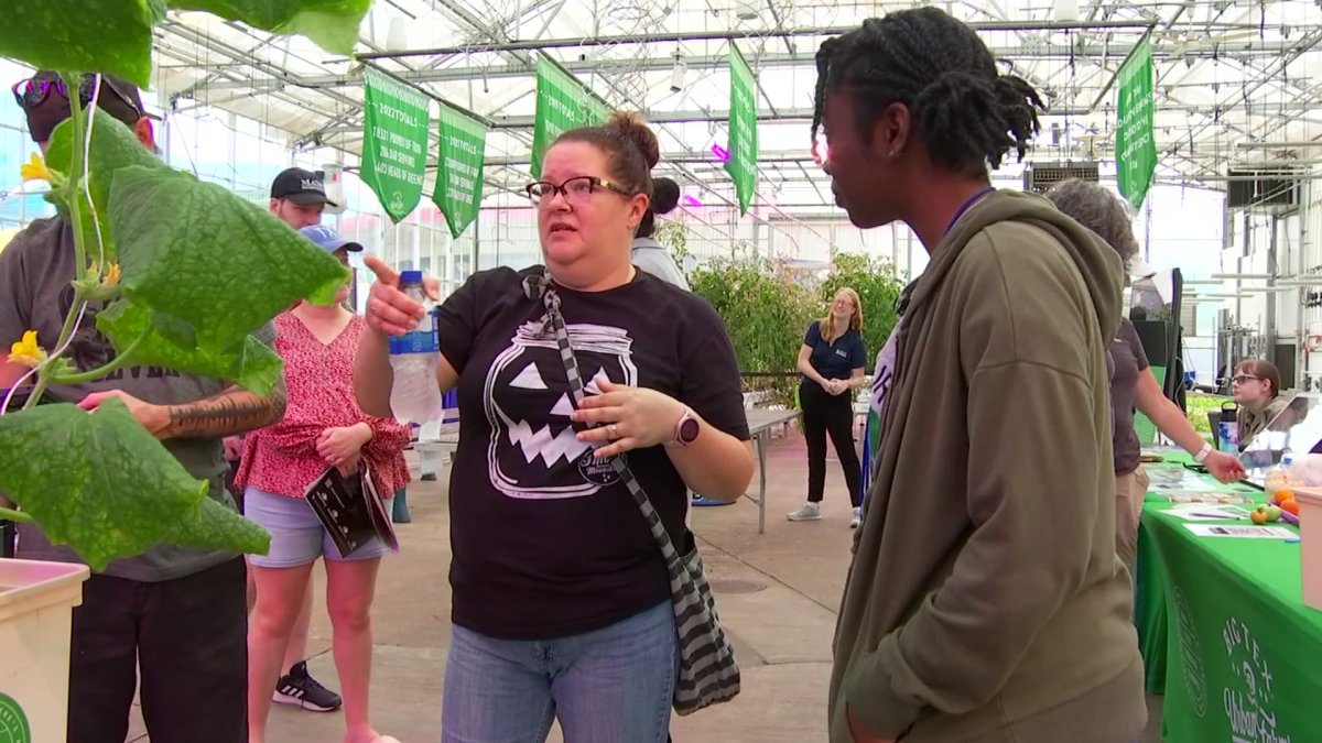 Dallas high school students learn urban farming at State Fair of Texas ...