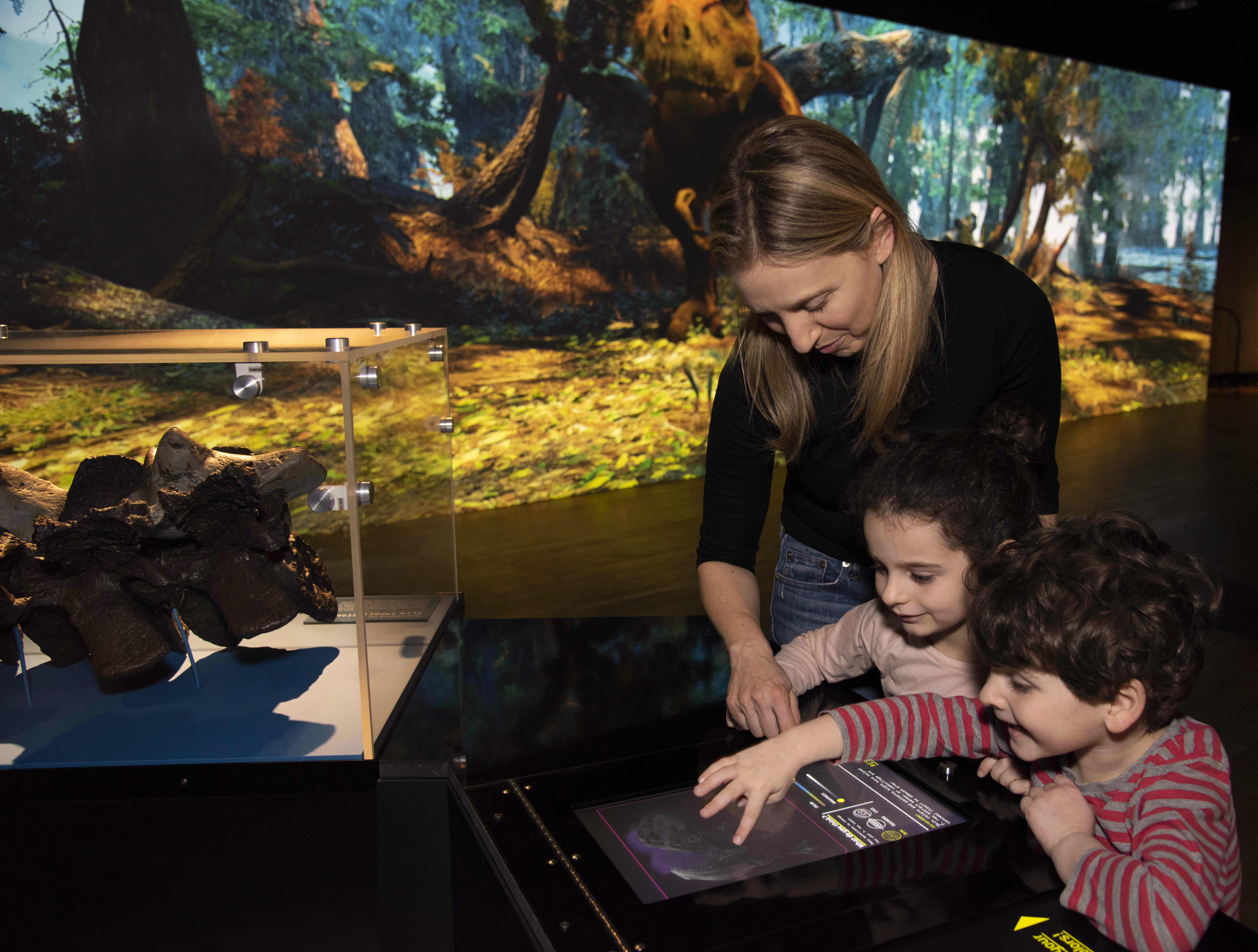 Perot Museum launches ultimate T-Rex exhibit on Monday – NBC 5 Dallas ...