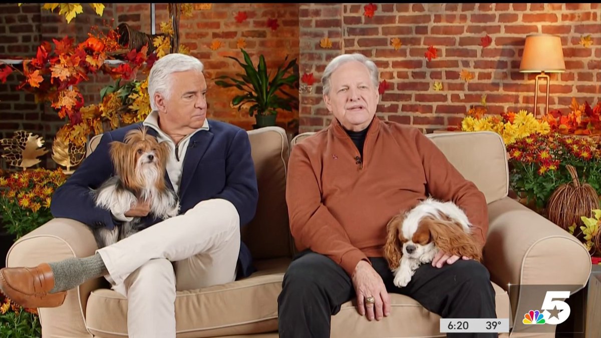 What makes a blue ribbon dog at the National Dog Show? – NBC 5 Dallas ...