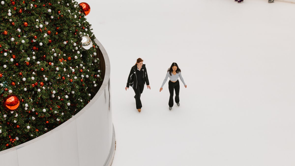 Tallest indoor Christmas tree in the country in Dallas – NBC 5 Dallas ...