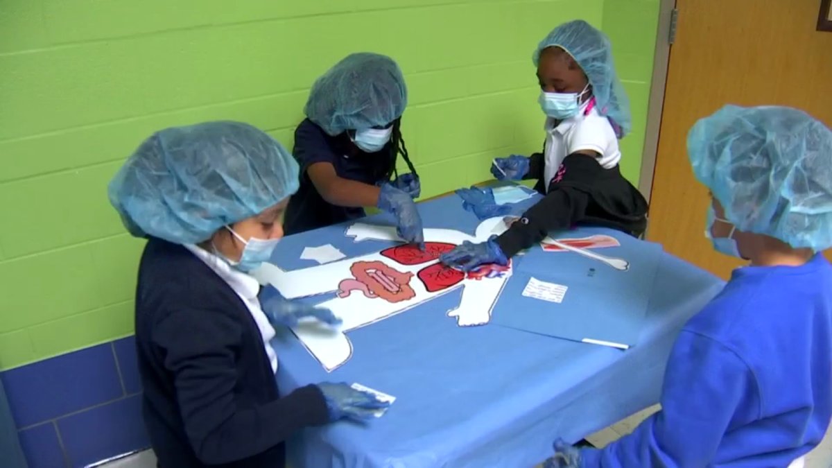 First-graders are studying human anatomy and tested in a new hands-on ...