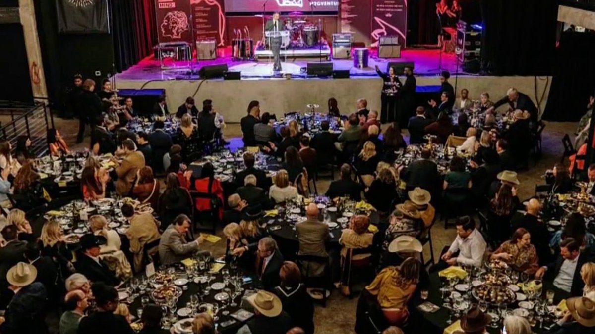 ‘Art of the Mind’ event raises funds for mental health – NBC 5 Dallas ...