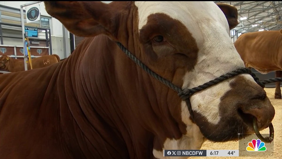 Fort Worth Stock Show & Rodeo showcases Western culture – NBC 5 Dallas ...