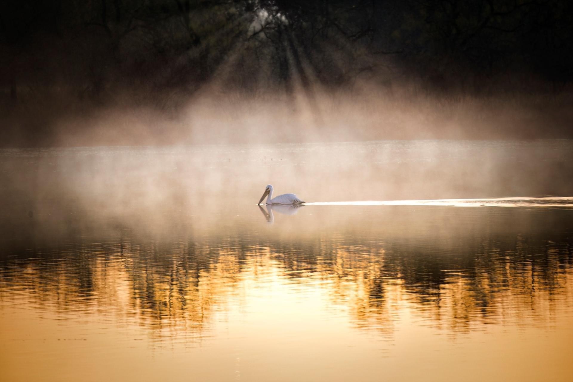Your photos of nature – NBC 5 Dallas-Fort Worth