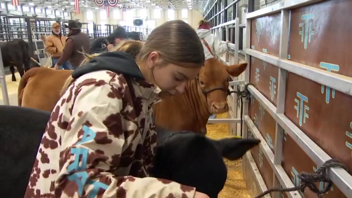 Fort Worth Stock Show & Rodeo opens for 2024 run – NBC 5 Dallas-Fort Worth