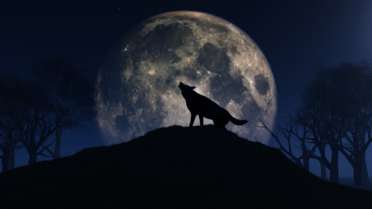 How to see the Full Wolf Moon on Thursday – NBC 5 Dallas-Fort Worth