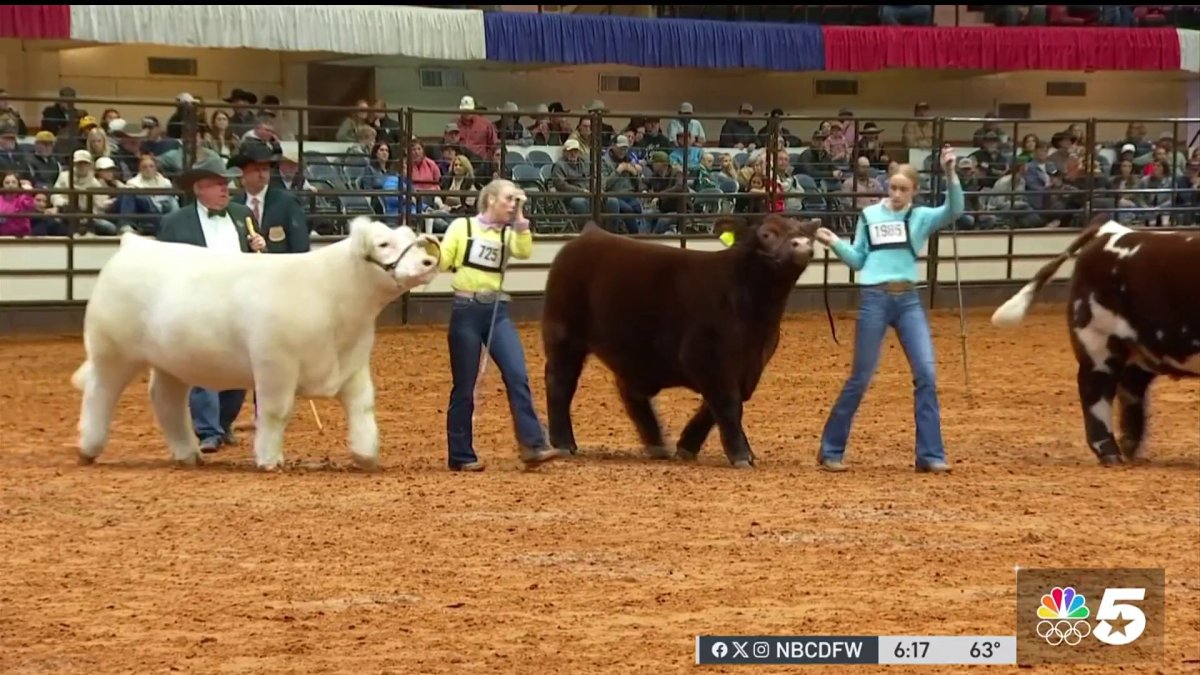 Grand Champion named at Fort Worth Stock Show & Rodeo – NBC 5 Dallas ...