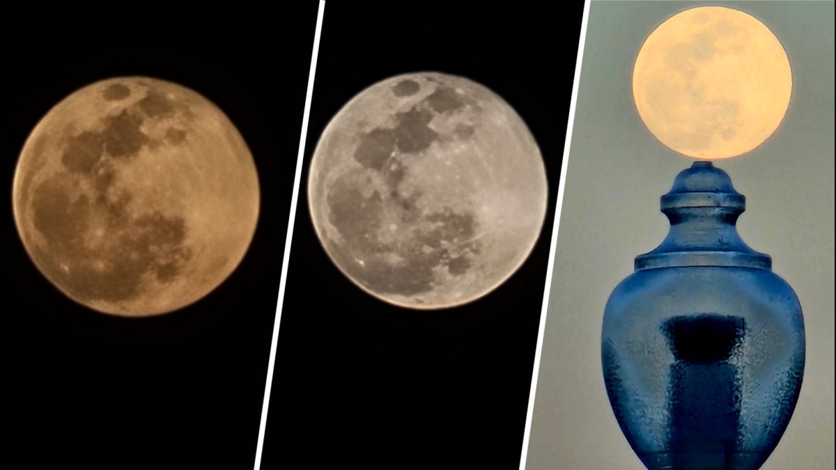 Snow Moon Photos: February 26, 2024 – NBC 5 Dallas-Fort Worth