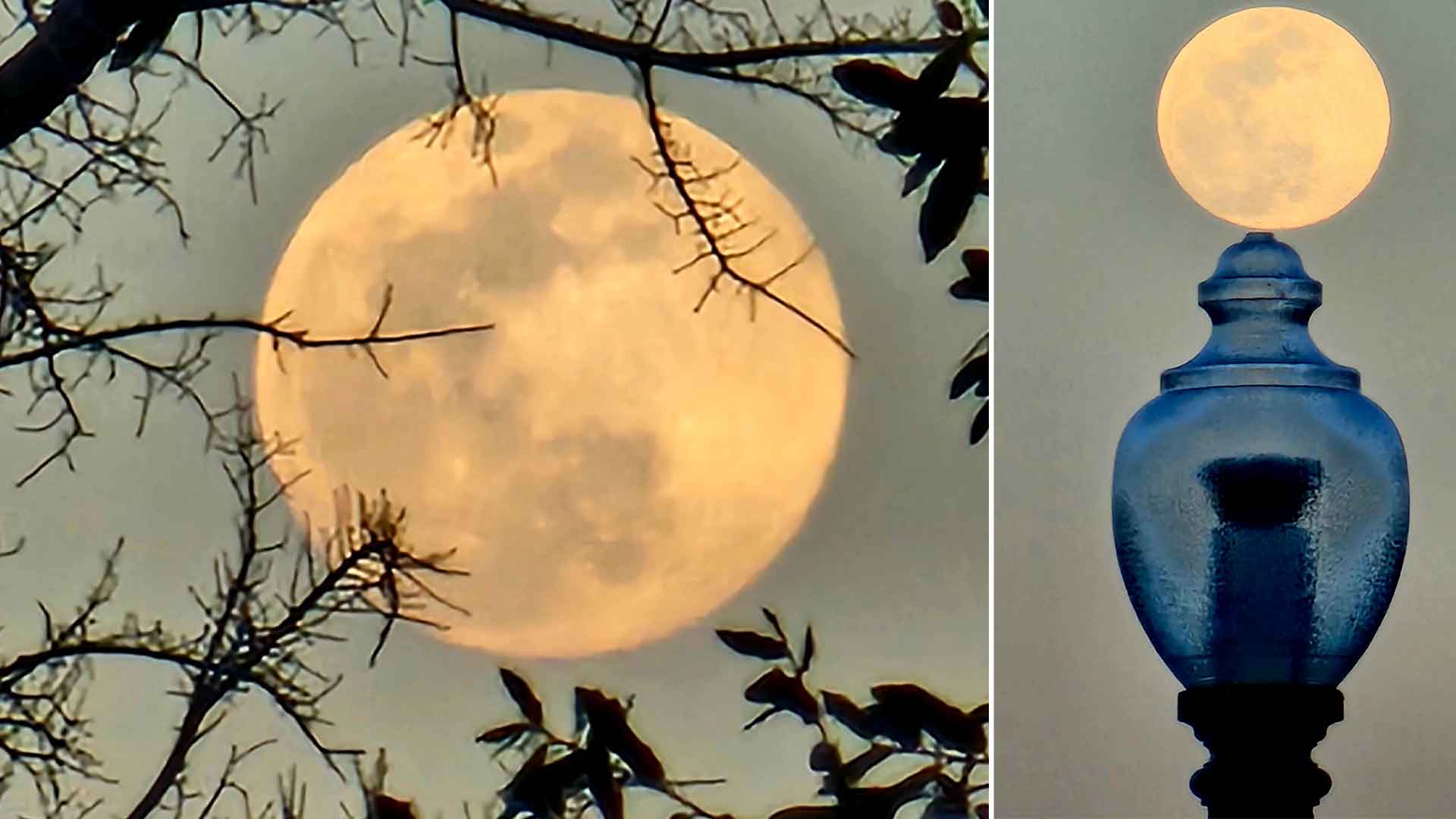 Here’s when to see the Snow Moon above North Texas this weekend – NBC 5 ...