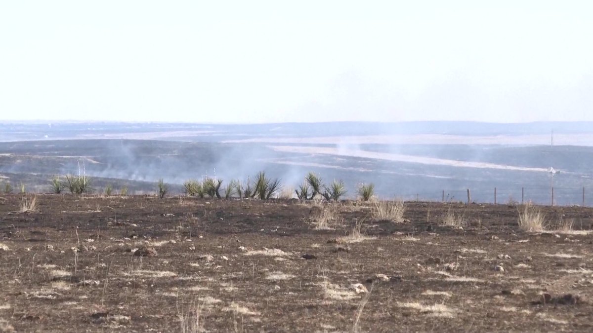 Largest wildfire in Texas history now contained – NBC 5 Dallas-Fort Worth