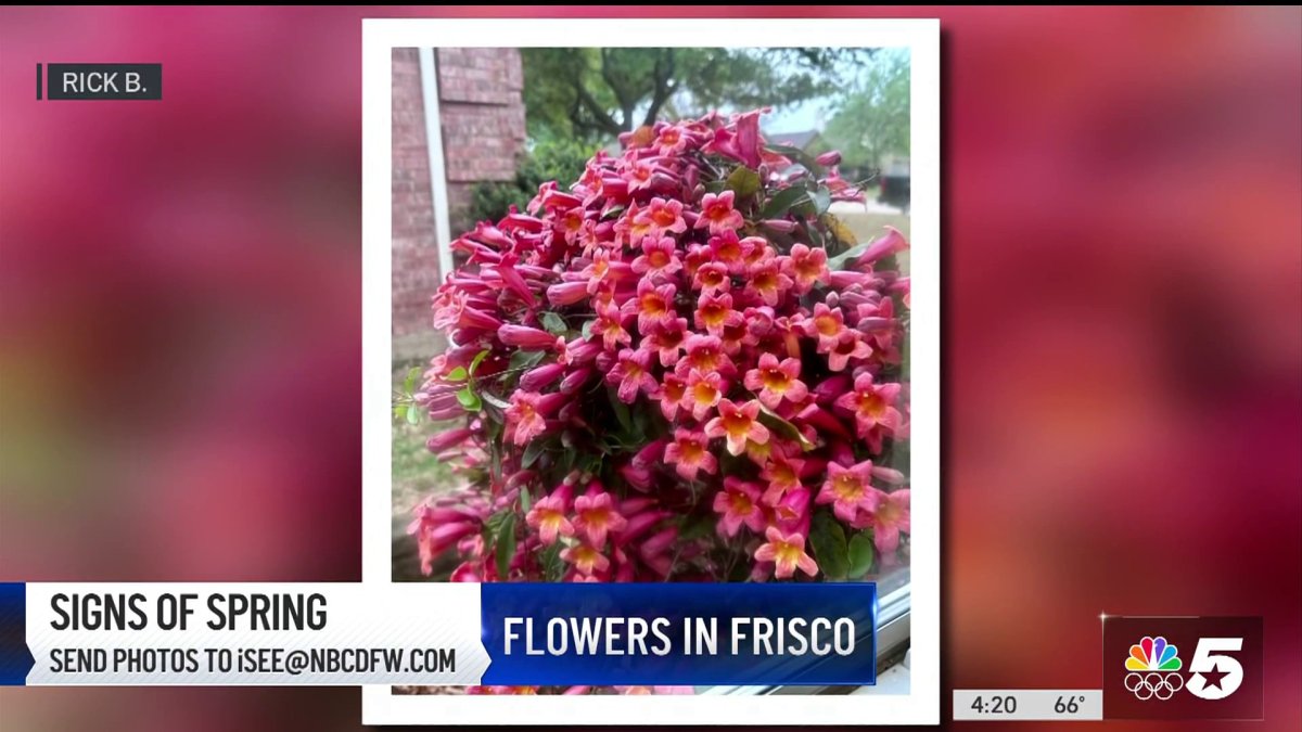 Signs of Spring: March 19, 2024 – NBC 5 Dallas-Fort Worth