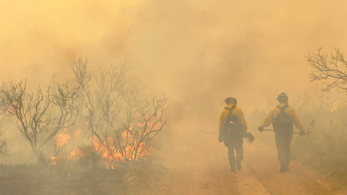 North Texas firefighters help battle wildfires – NBC 5 Dallas-Fort Worth