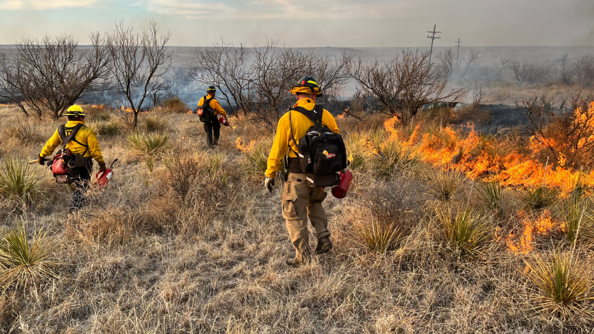 Photos: Fort Worth firefighters help battle Smokehouse Creek fire – NBC ...
