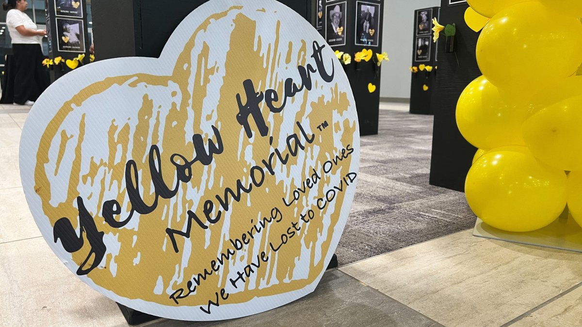 ‘More Than a Number’ memorial opens in Irving – NBC 5 Dallas-Fort Worth