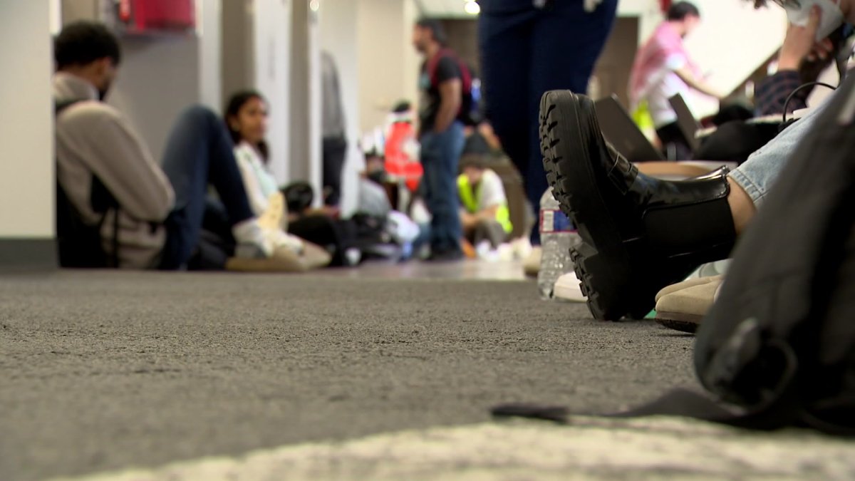 University of Texas-Dallas students protest Israel-Gaza war – NBC 5 ...