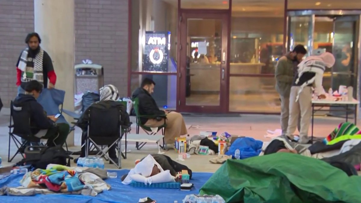 Pro-Palestine protestors remain in police custody in Collin County ...