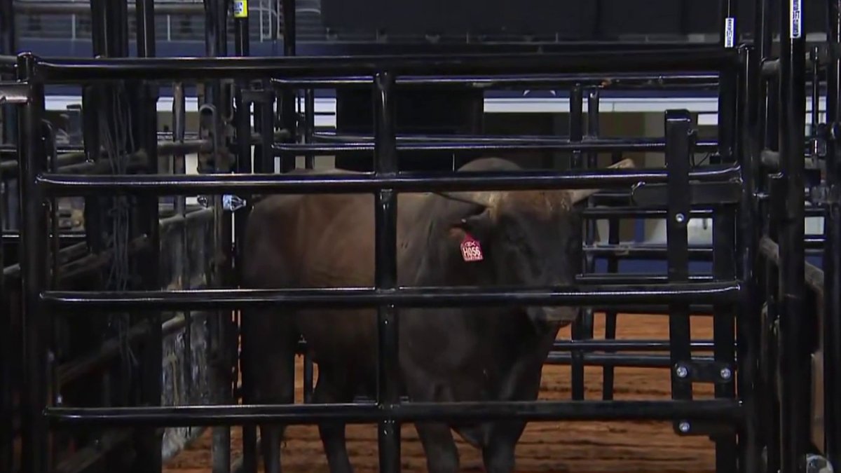 PBR World Finals to take over North Texas this weekend – NBC 5 Dallas ...