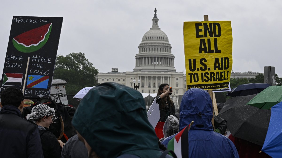 Hundreds of pro-Palestinian protesters rally in the rain in DC – NBC 5 ...