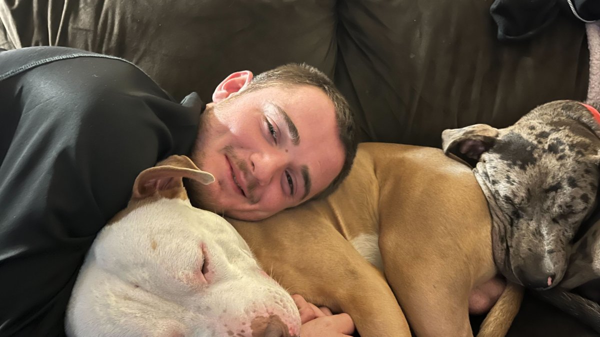 Man electrocuted doing tree work in Arlington – NBC 5 Dallas-Fort Worth