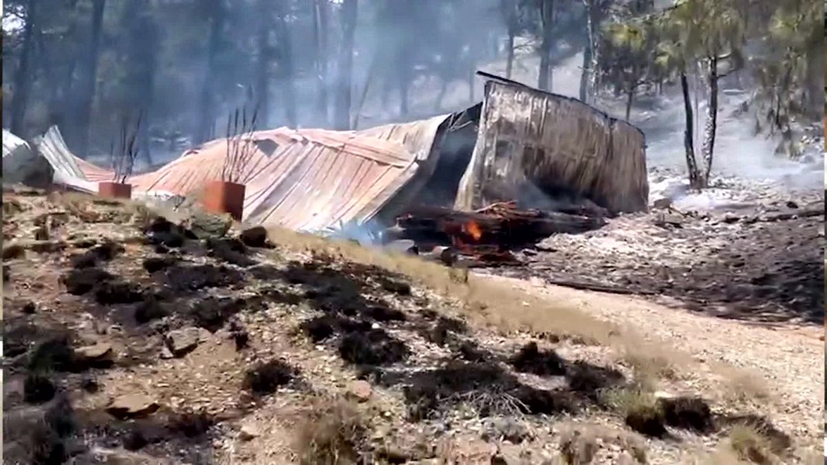 North Texas native loses home in New Mexico wildfire – NBC 5 Dallas ...