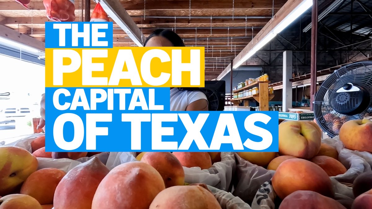 Peach season has arrived in Parker County, Texas – NBC 5 Dallas-Fort Worth
