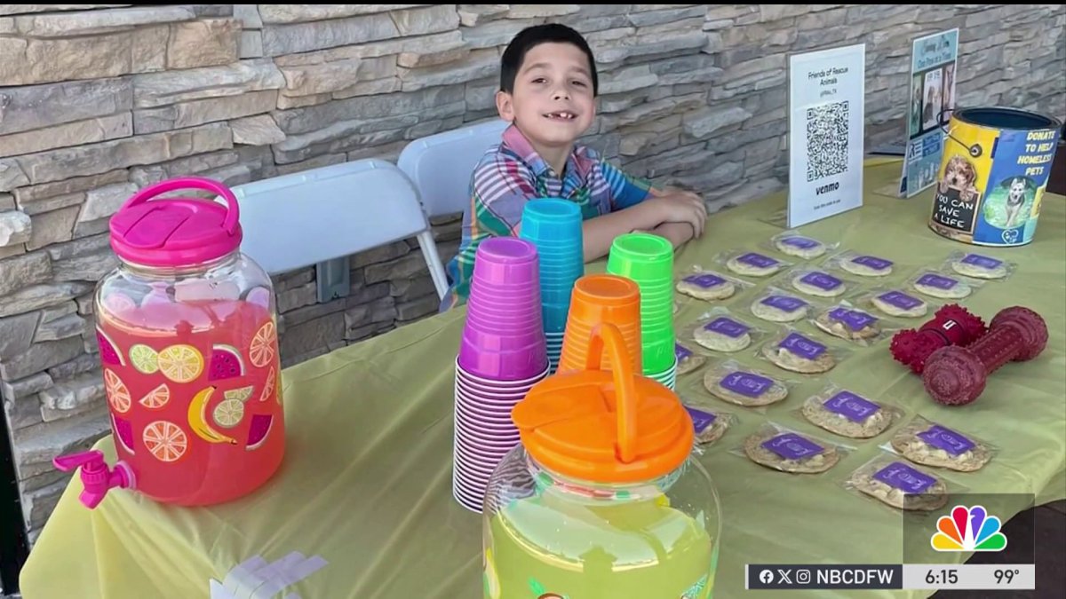 Young boy’s love for animals and lemonade turns into idea to help a ...