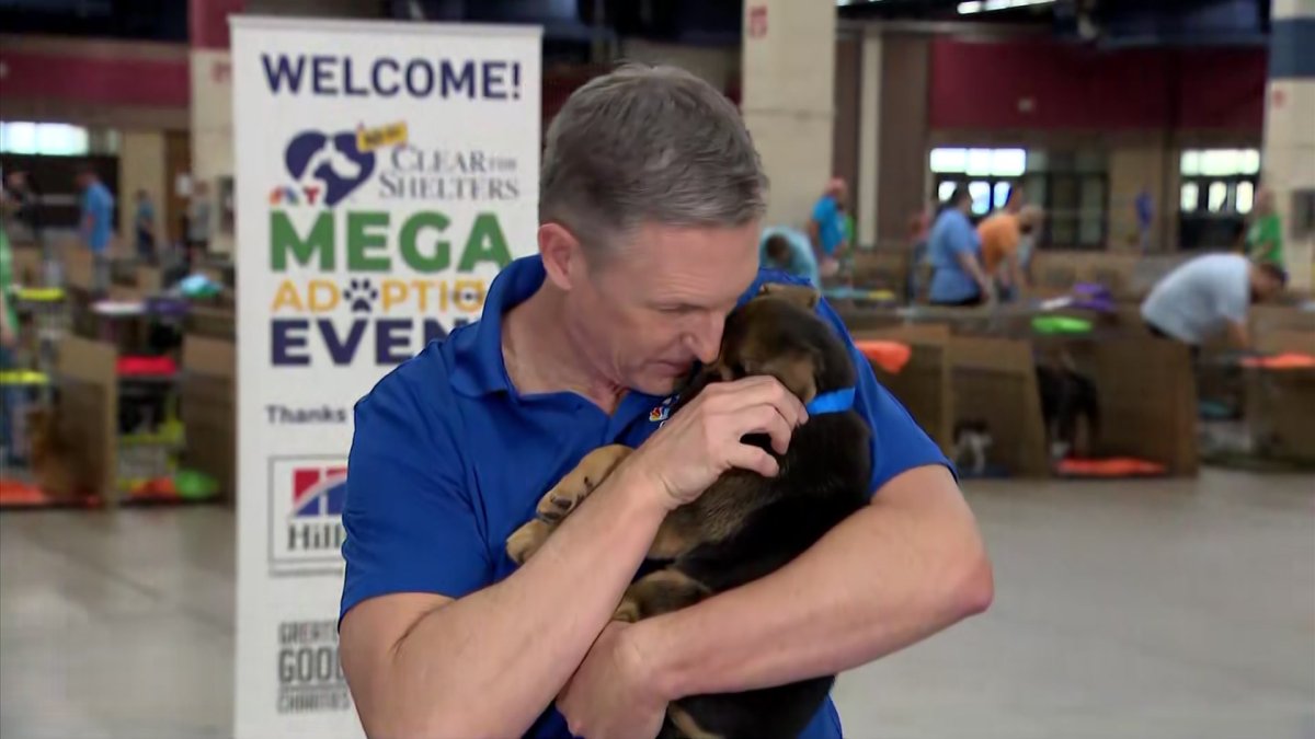 Check out the Clear the Shelters MEGA Adoption Event on August 17 – NBC ...
