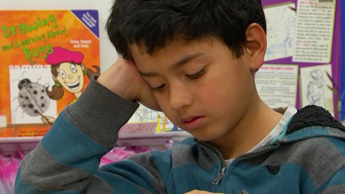 Prioritizing literacy with at-home reading during the school year – NBC ...