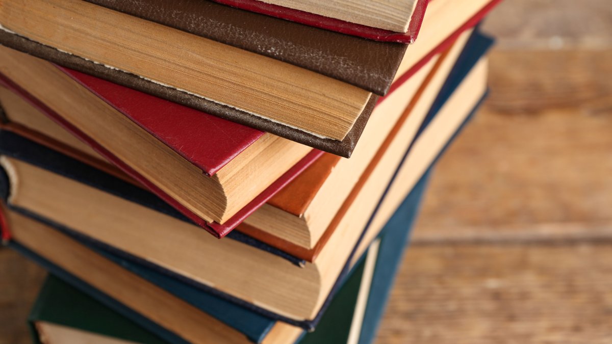 How children can see themselves in the books they read – NBC 5 Dallas ...