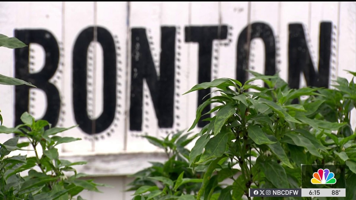 Bonton Farms launches new ‘Farmacy’ program – NBC 5 Dallas-Fort Worth