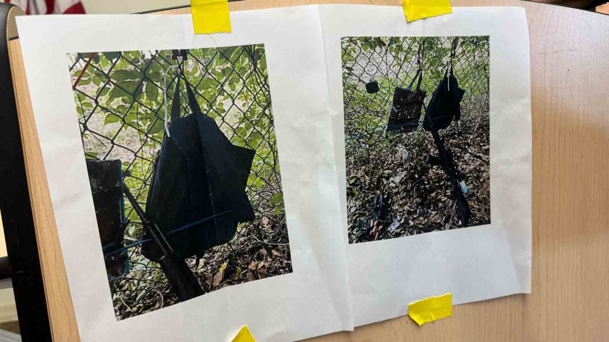 What we know about Ryan Wesley Routh, would-be Trump assassin – NBC 5 ...