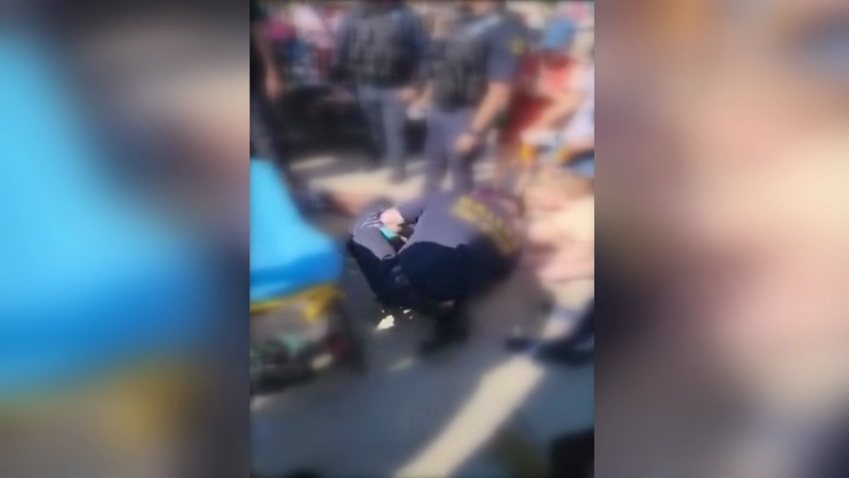 Mother shares story after son injured by police horse at State Fair ...