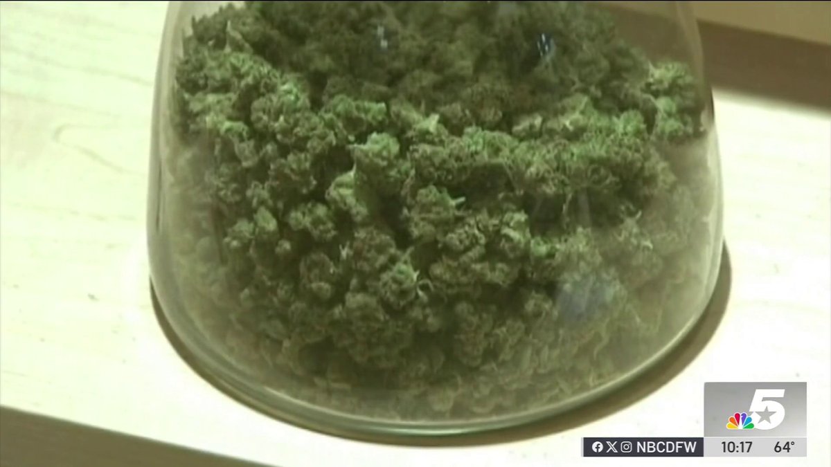Dallas becomes largest Texas city to decriminalize marijuana. What ...
