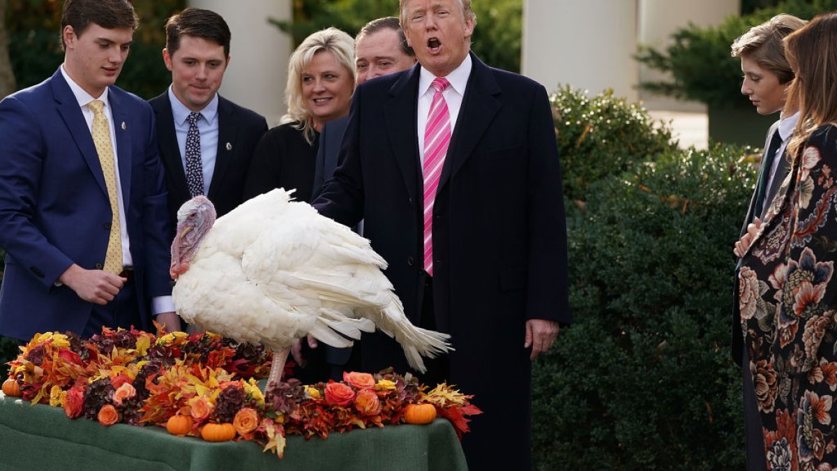 Why do presidents pardon turkeys on Thanksgiving? – NBC 5 Dallas-Fort Worth