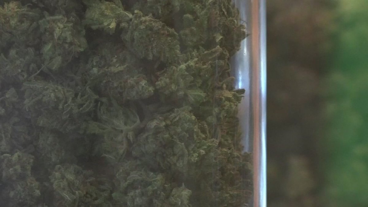 Dallas voters decriminalize marijuana in small amounts – NBC 5 Dallas ...